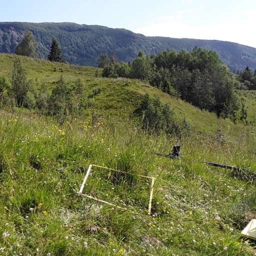 Overvåking av semi-naturlig eng (ASO) - Nibio Overvåking av semi-naturlig eng (ASO) - Nibio
